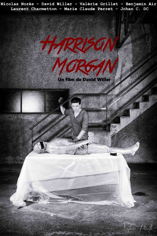 🍀 ARTI’STORY # 23 : David Willer, une envie de raconter des histoires ...